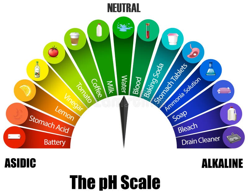 The PH Scale on White Background Stock Illustration - Illustration of ...