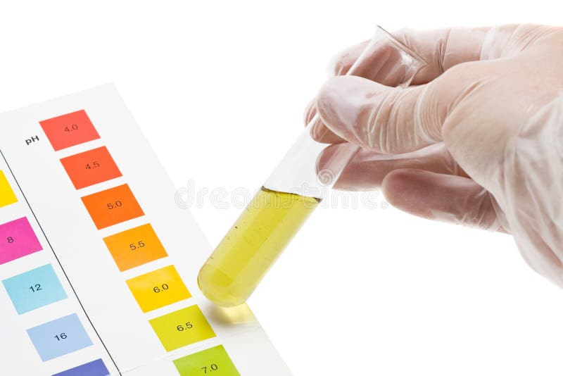 54,652 Ph Salvia Stock Photos - Free & Royalty-Free Stock Photos from ...