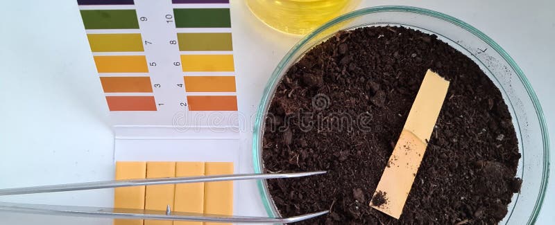PH Test Soil and Oil in a Flask Stock Photo - Image of analysis ...