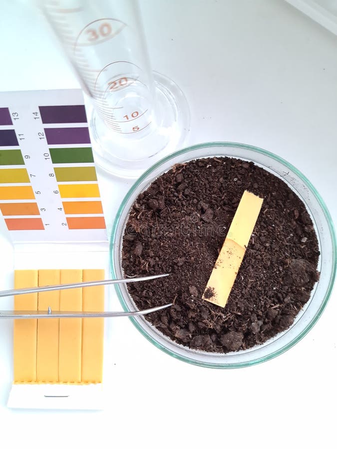 PH Test Strip Showing Quality of Soil Sample Closeup Stock Photo ...