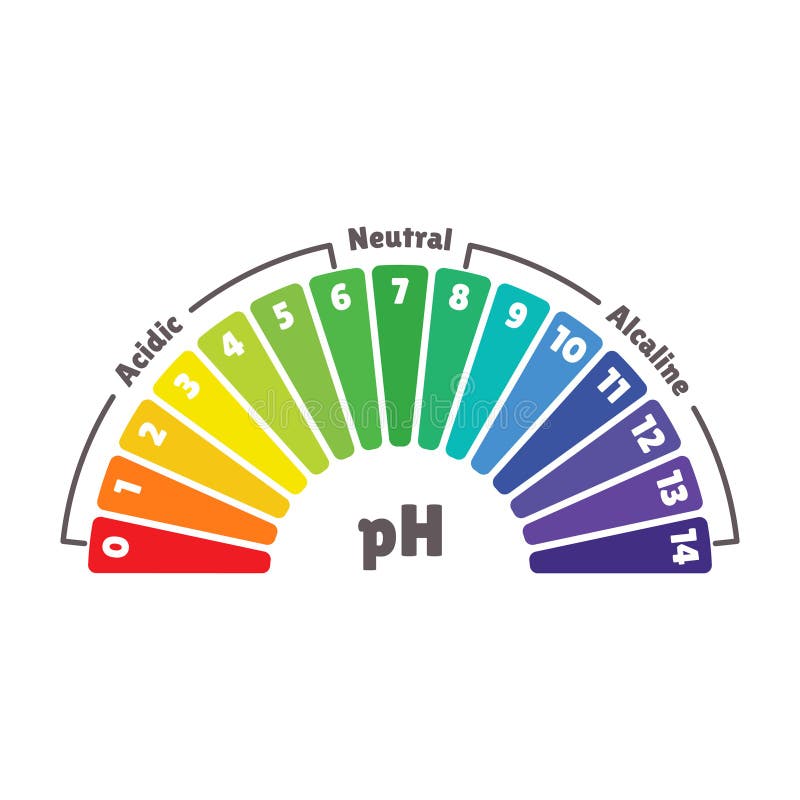 PH Value Scale for Acid and Alkaline Balance. Vector Stock Vector ...