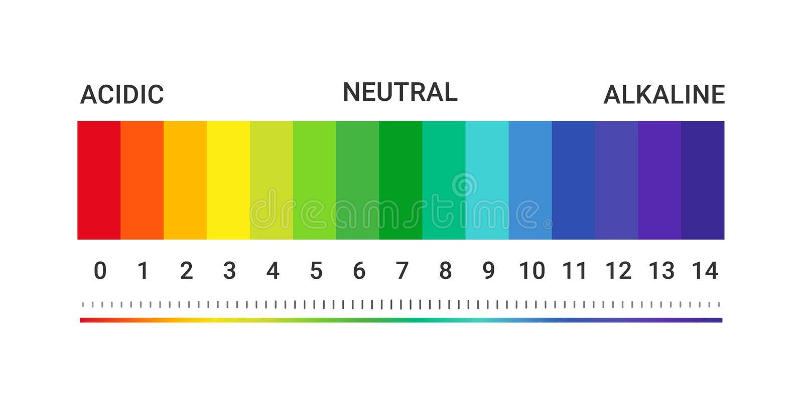 Skin PH Value Scale Chart for Normal, Dry and Oily. Indication of Lipid ...