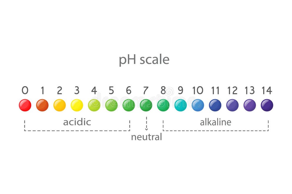 PH Value Scale Chart for Acid and Alkaline Solutions, Acid-base Balance ...