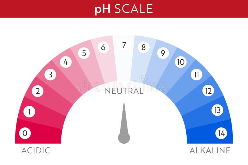PH Value scale chart. stock vector. Illustration of alkali - 228325796