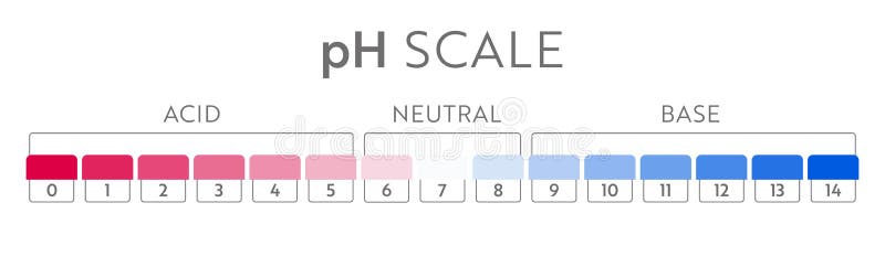 PH Value scale chart. stock vector. Illustration of vector - 227923834
