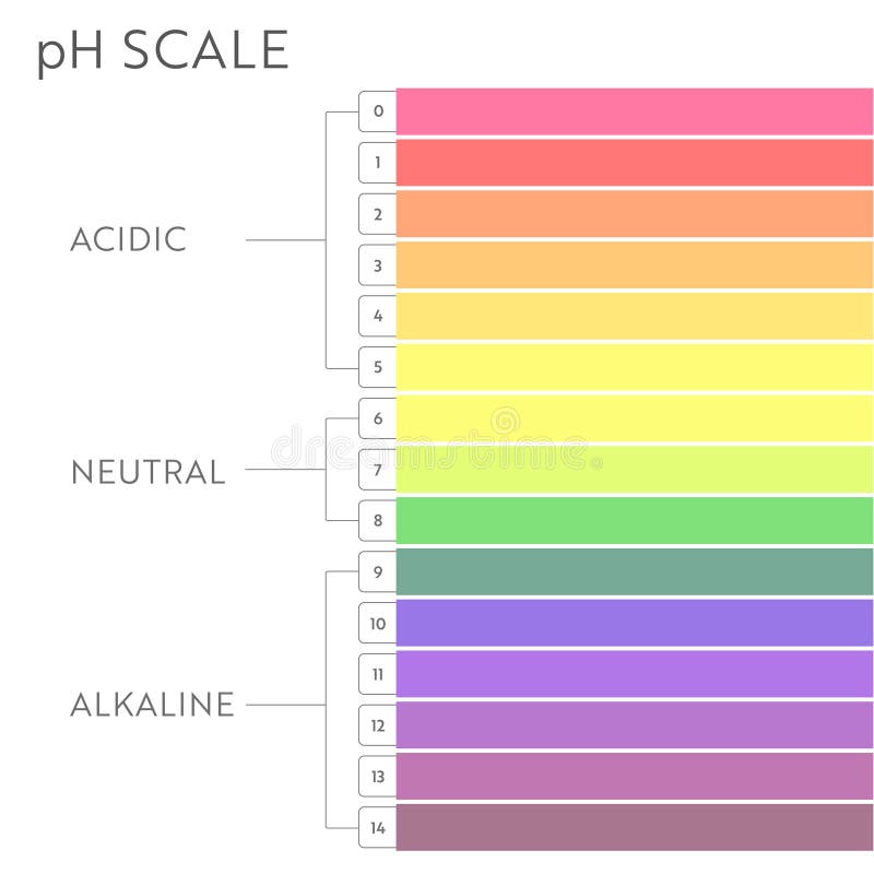 PH Value scale chart. stock vector. Illustration of paper - 228613062