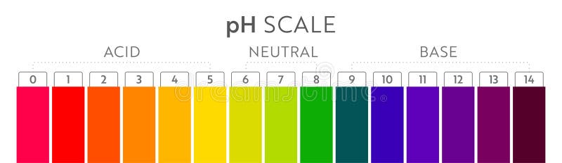 PH Value scale chart. stock vector. Illustration of chart - 227924036