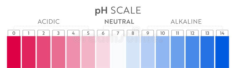 PH Value scale chart. stock vector. Illustration of paper - 228049564