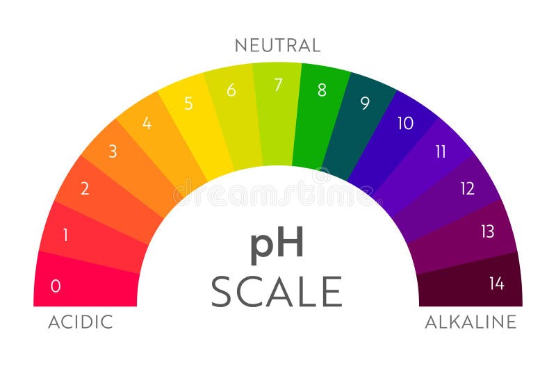 PH Value scale chart. stock vector. Illustration of graph - 228050330