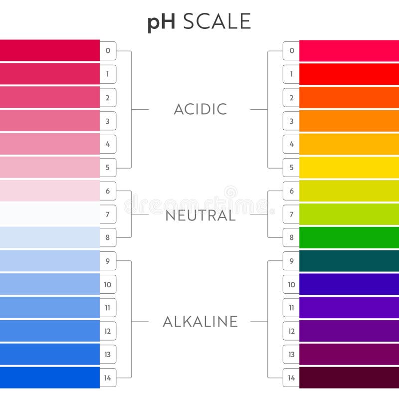 PH Value scale chart. stock vector. Illustration of analysis - 228475270