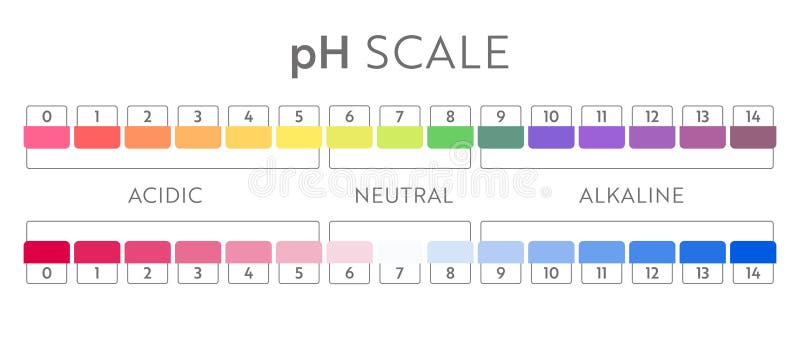 PH Value scale chart. stock vector. Illustration of solution - 228475309