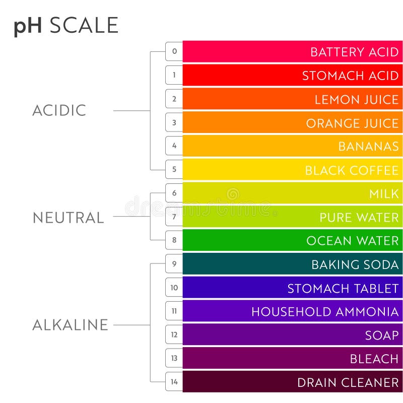 PH Value scale chart. stock vector. Illustration of chemistry - 228613095