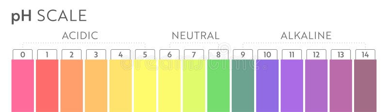 PH Value scale chart. stock vector. Illustration of concentration ...