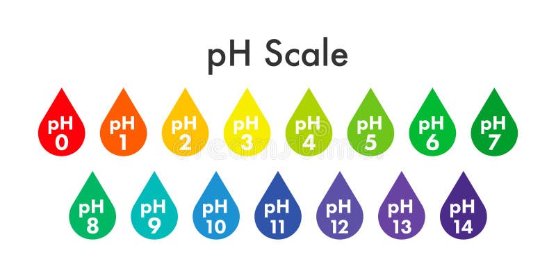 PH Value Scale Meter. PH Analysis Chemical Scale Value Test. Vector ...