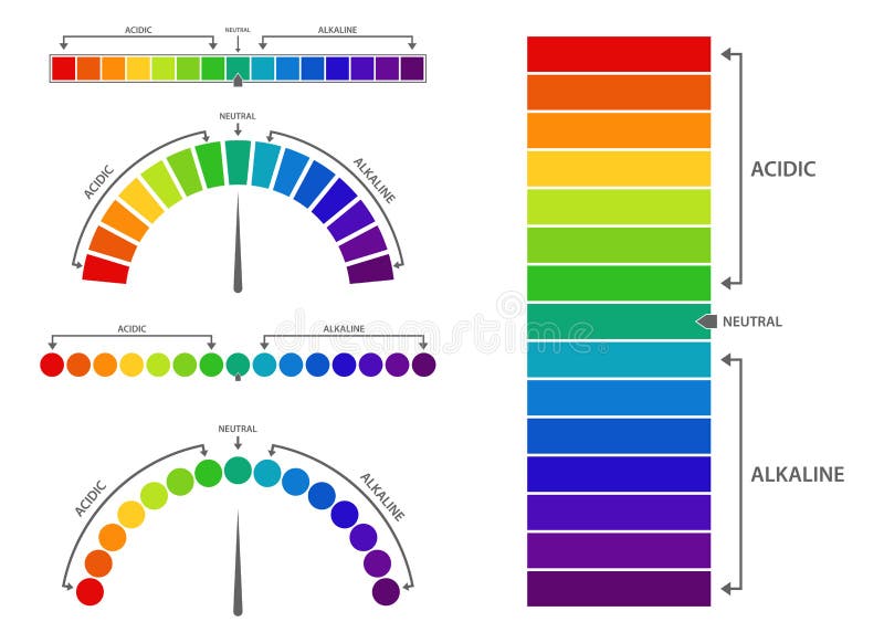 Ph Value Scale Vector Design Illustration Isolated on White Background ...