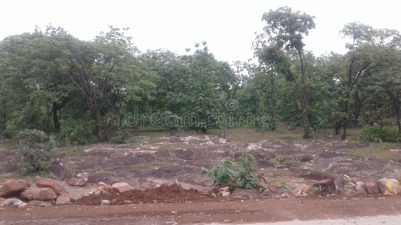 Beeran Stock Photos - Free & Royalty-Free Stock Photos from Dreamstime