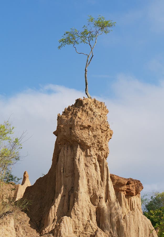 Phae Muang Phee Royal Park. Stock Photo - Image of outdoor, prae: 80844780