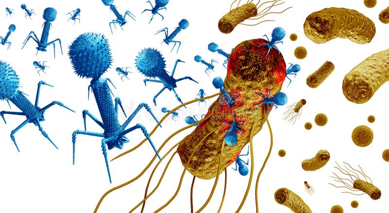 Phage attacking Bacteria stock illustration. Illustration of phage ...