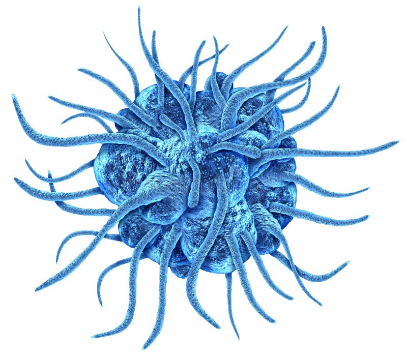 Phagocyte stock photo. Image of leukocyte, diseases - 347423002