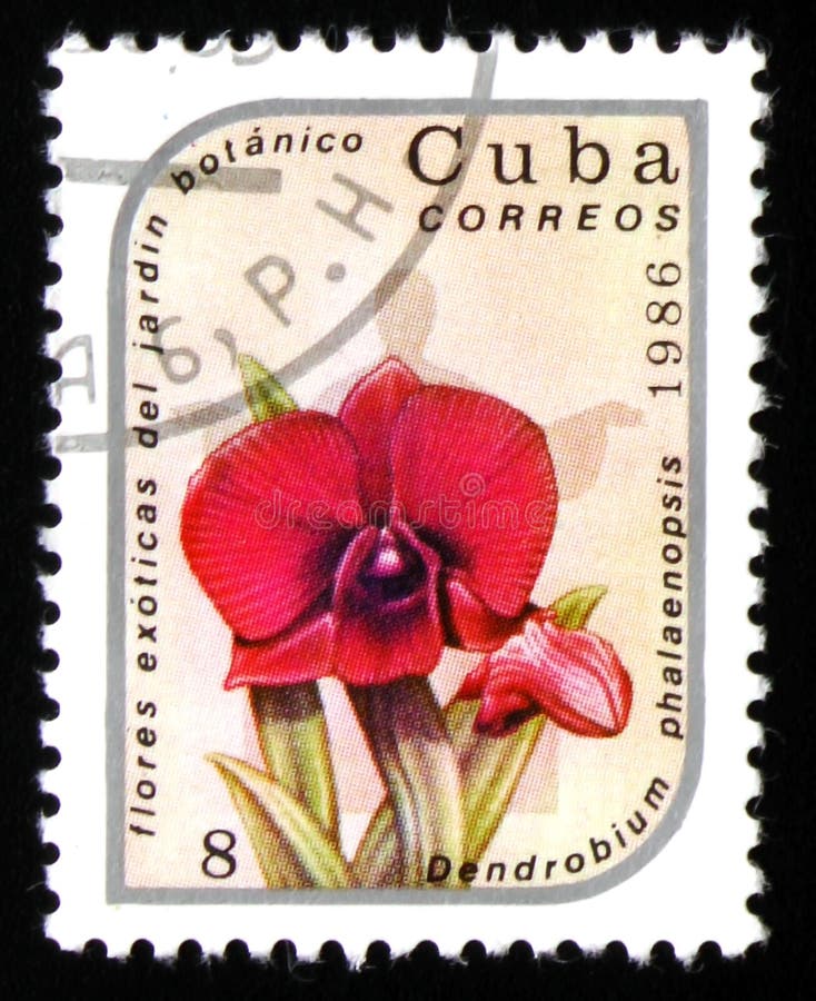 Phalaenopsis Del Dendrobium De La Flor, Circa 1986 Imagen de archivo ...