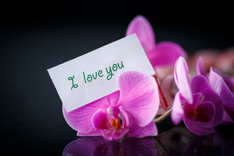 Declaration of love stock photo. Image of beautiful, blooming - 20603274