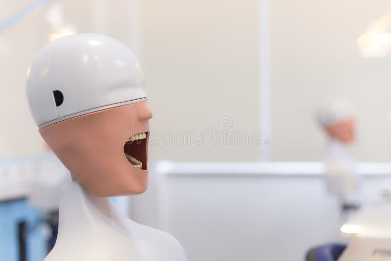 Phantom Head Model Used by Dentistry Students Stock Image - Image of ...