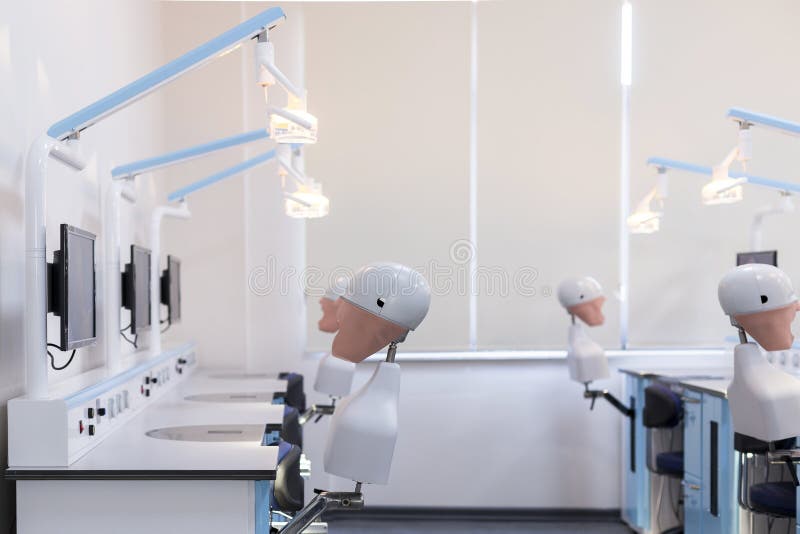 Phantom Head Model Used by Dentistry Students Stock Image - Image of ...