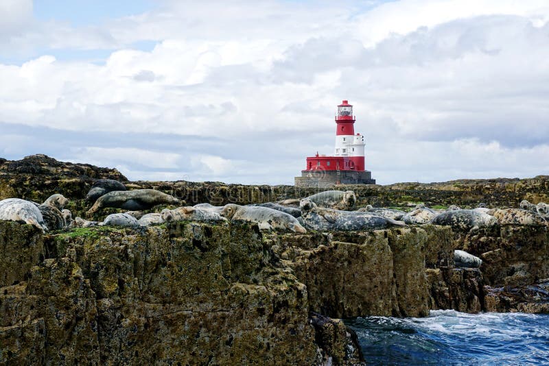 Phare Rouge Et Blanc, Joints Sur Des Roches Image stock éditorial ...