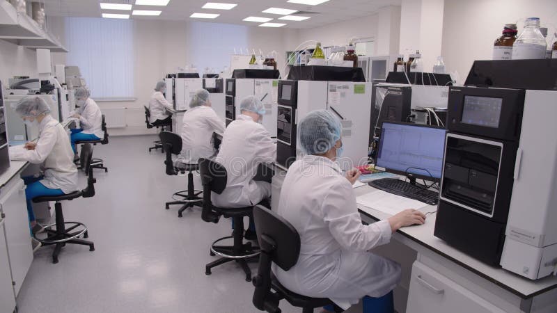 Pharma Workers during the daily Working Process in the Laboratory. the ...