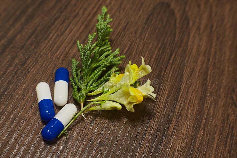 Pharmaceutical Nutraceutical Compounding Packaging Stock Photo - Image ...