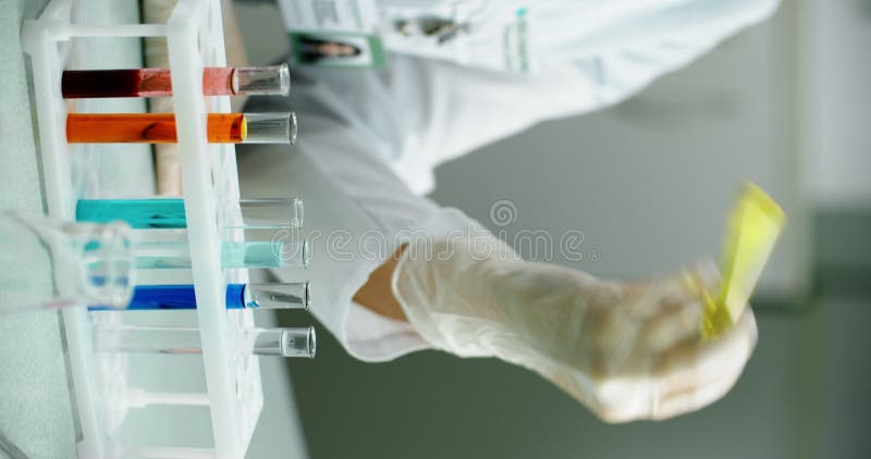 Testing the Work of Artificial Intelligence in a Company HD Stock ...