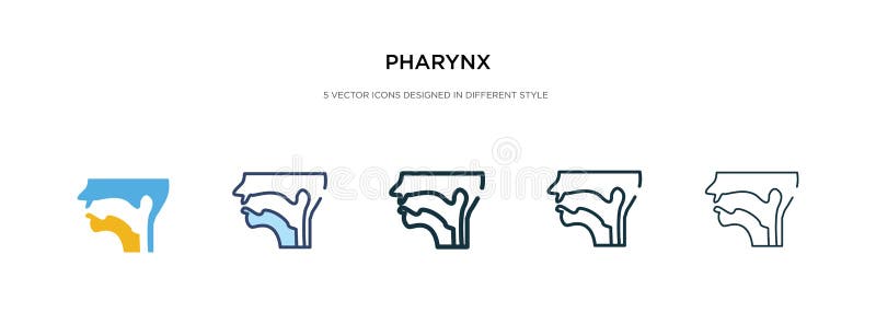 Pharynx Icon in Different Style Vector Illustration. Two Colored and ...