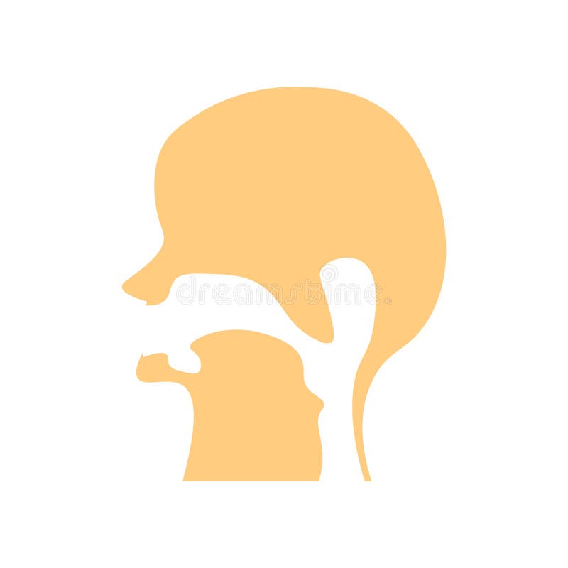 Esophagus Icon Vector Sign and Symbol Isolated on White Background ...