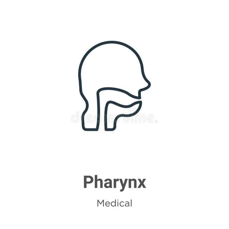 Outline Pharynx Vector Icon. Isolated Black Simple Line Element Illustration from Medical ...