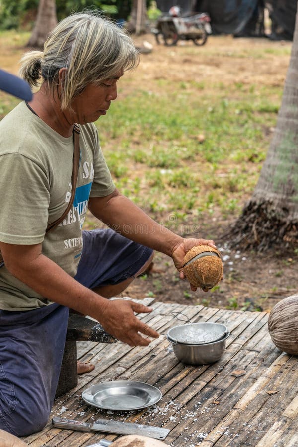 Phase Three: Halving Harvested Coconut on Ko Samui Island, Thailand ...