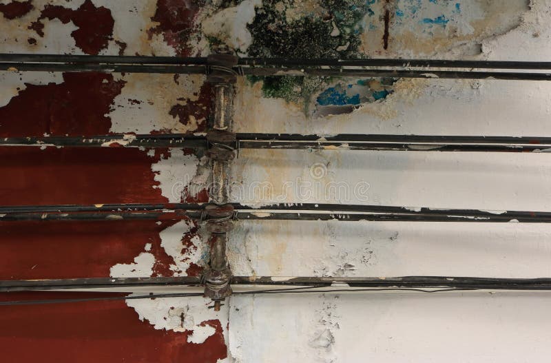 3-phase 4-wire Low Voltage Distribution Lines on Canopy Stock Photo ...