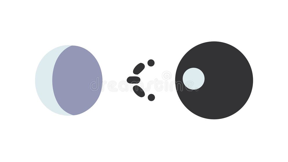 Phased Eye Movement. Observation, Visual Analysis, and Progress. Vector ...
