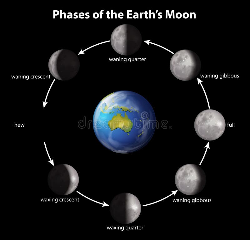 Moon Phases Stock Illustrations – 3,054 Moon Phases Stock Illustrations ...