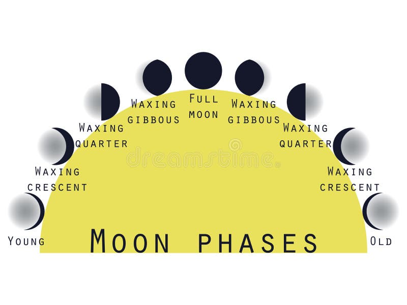 The Phases of the Moon. the Whole Cycle from New Moon To Full Stock ...
