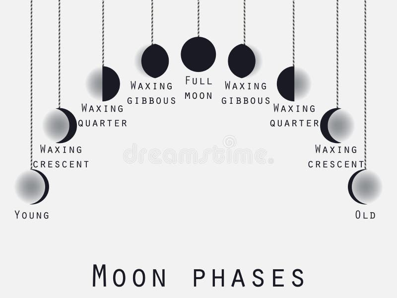 The Phases of the Moon. the Whole Cycle from New Moon To Full Stock ...