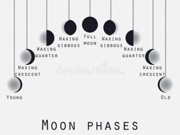 Moonlight Stages Stock Illustrations – 109 Moonlight Stages Stock ...