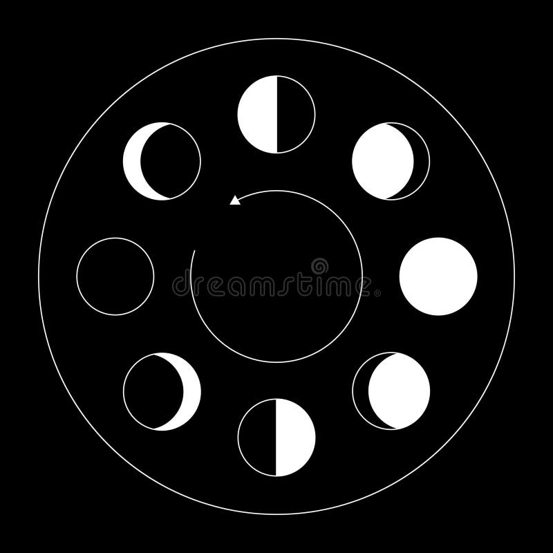 Phases of the Moon. Moon Phase. New, Half and Full Moons. Vector. Stock ...