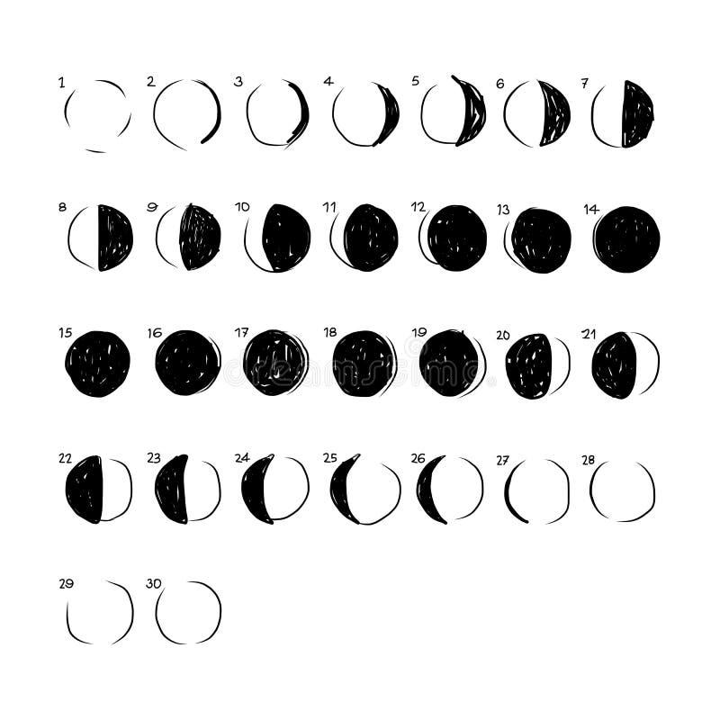 Phases of the Moon, Sketch for Your Design Stock Vector - Illustration ...