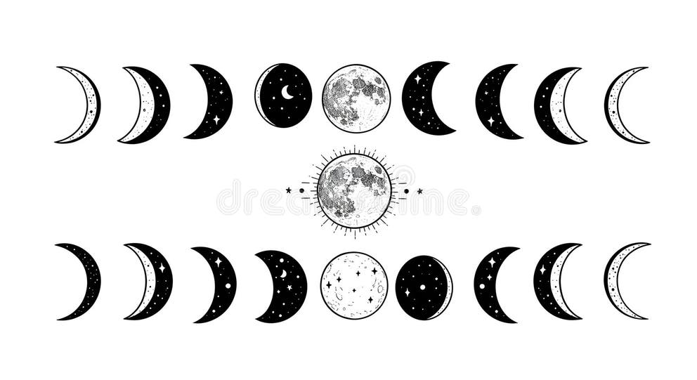 Phases of the Moon Vector Illustration, Celestial Lunar Cycle Design ...