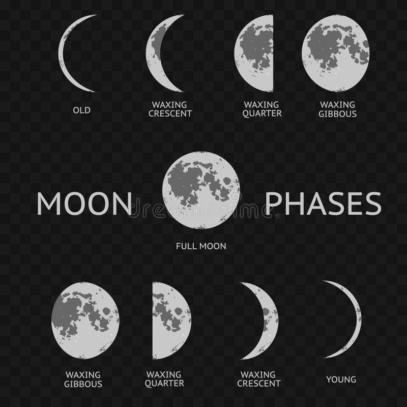 Phases of Moon. Whole Astronomy Cycle. Vector Stock Vector ...