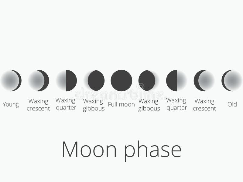 The Phases of the Moon. the Whole Cycle from New Moon To Full Stock ...