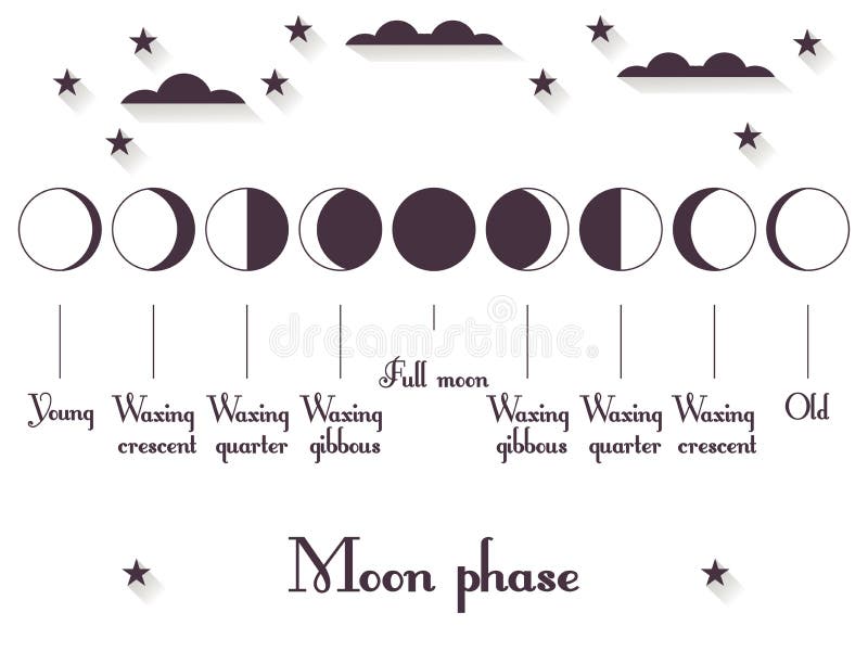 The Phases of the Moon. the Whole Cycle from New Moon To Full Stock ...