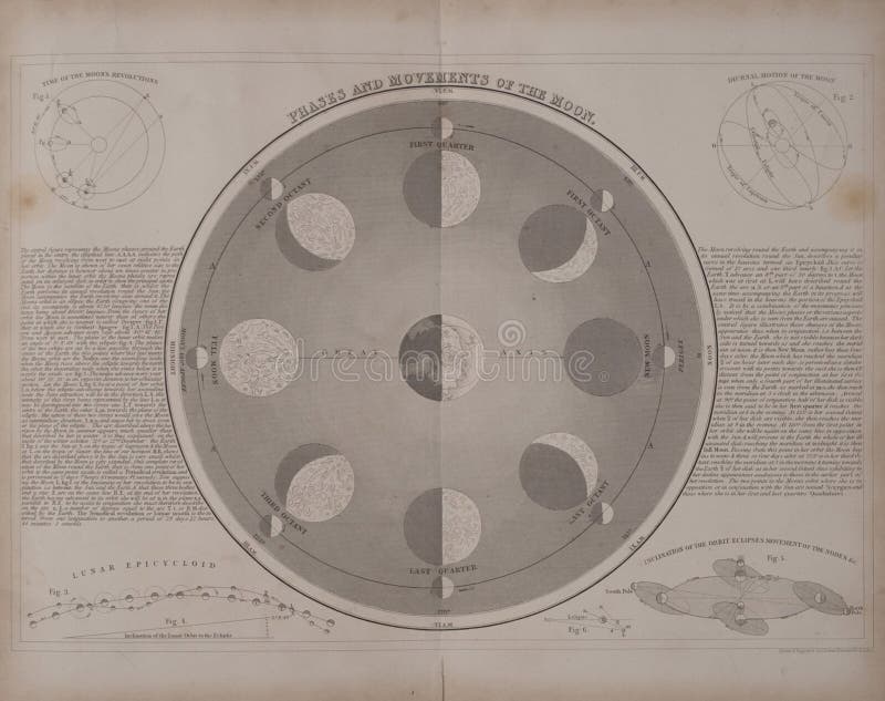 Phases And Movements Of The Moon Picture. Image: 222295712