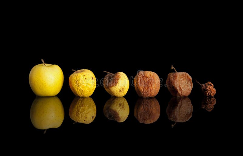 Phases of the Rotting Yellow Apple. Stock Image - Image of contrast ...