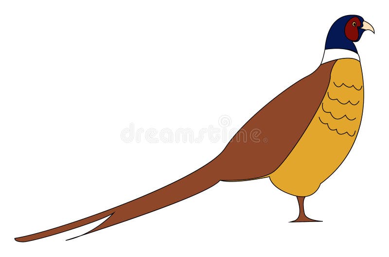 Cartoon Pheasant Bird Flying Stock Illustrations – 75 Cartoon Pheasant ...